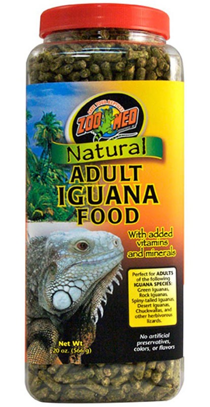 Green Iguana Diet