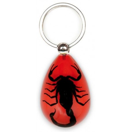 Wholesale Scorpion Keychain