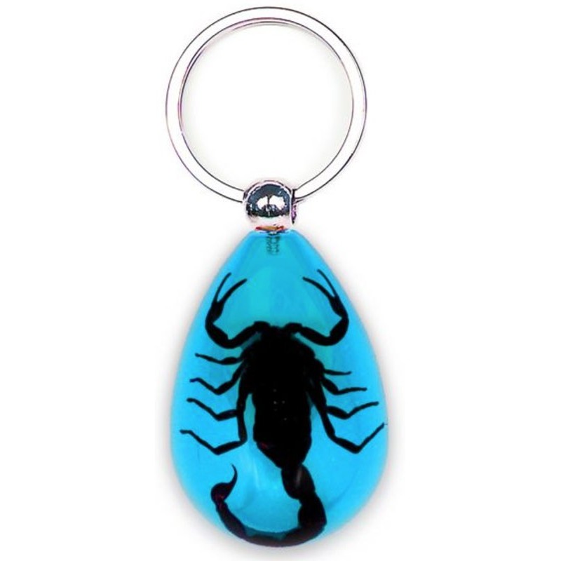 Wholesale Scorpion Keychain